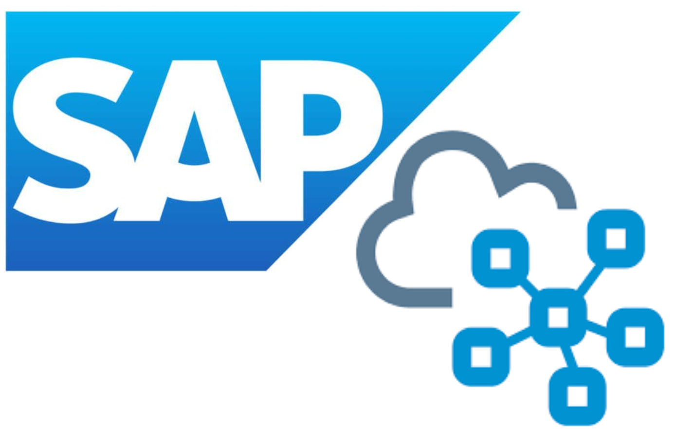 Sap Mdg Logo